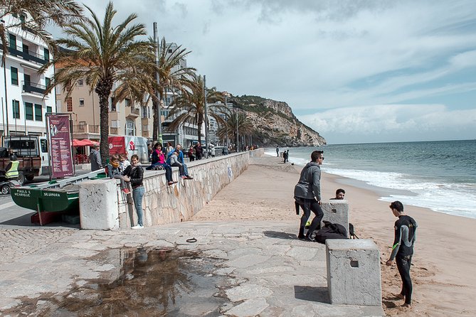 Arrábida Natural Park and Sesimbra Day Trip from Lisbon - The Sum Up