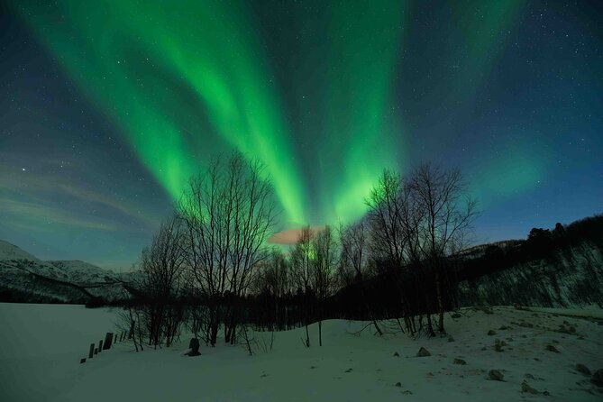 Aurora Hunt with Professional Photographer from Alta - Who Should Consider This Tour?