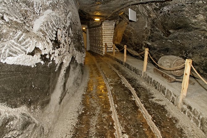 Auschwitz & Wieliczka ONE DAY Guided Tour +Private Transportation - FAQ
