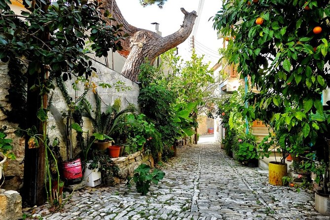 Authentic Gourmet Tour with Wine and Food Tasting from Paphos - FAQs