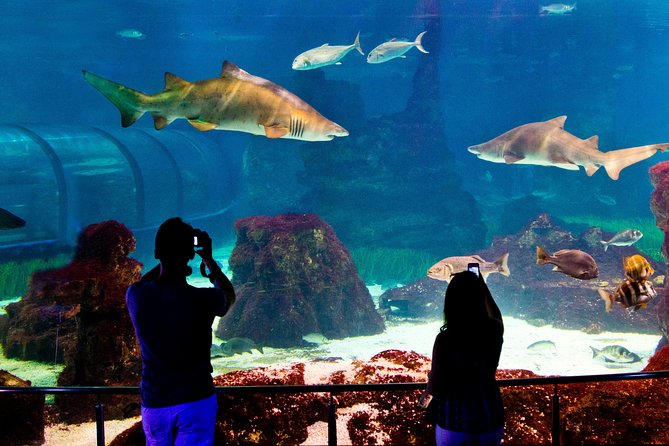 Barcelona Aquarium Skip the Line Ticket - Practical Tips for Visitors