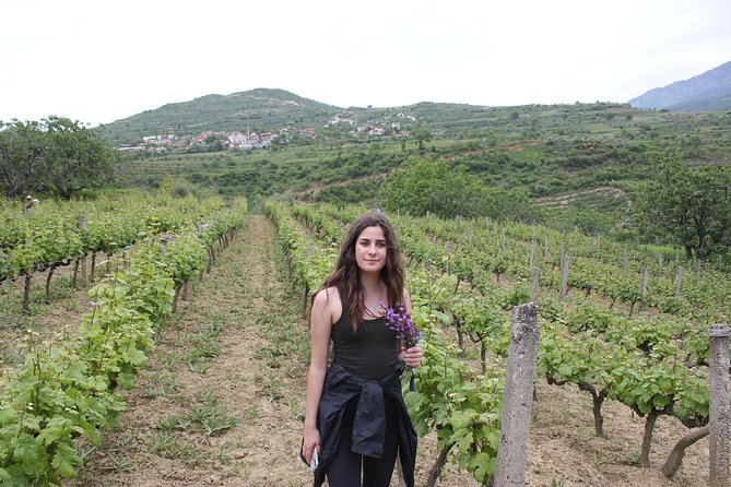 Berat Grand Wine Tasting & Food Tour - Final Words