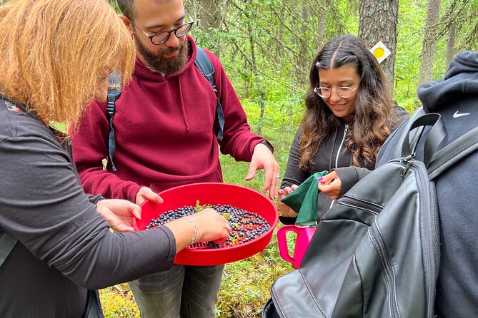 Berry Picking in a National Park - FAQ