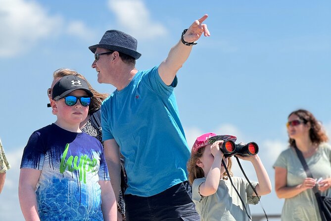 Birdwatching Experience in Narte Lagoon & Akerni Dunes - The Sum Up