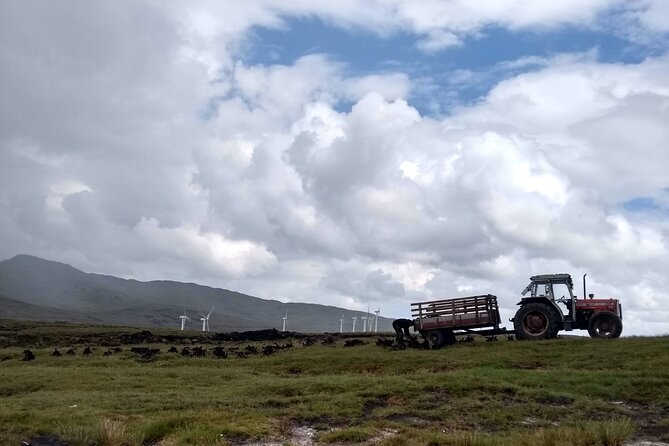 Bog Safari Hike - FAQs