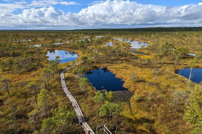 Bogs and Resorts in Jrmala - Who Is This Tour Best For?
