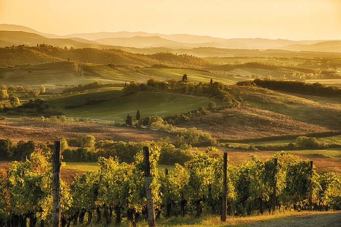 Brunello Wine Tasting from San Gimignano - Final Thoughts