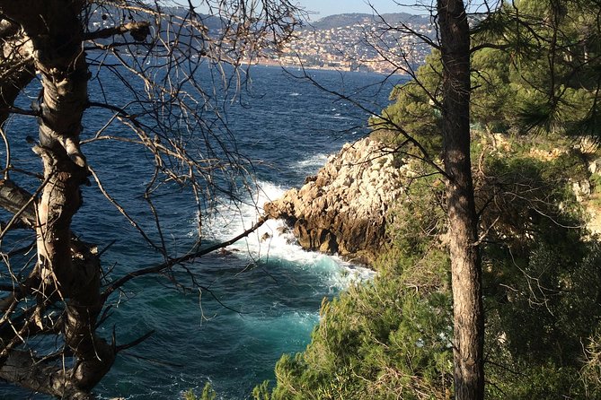 Cannes Large Group Shore Excursion with a Minibus 15 seater - FAQ