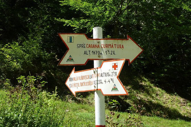 Carpathians in Romania: Piatra Craiului National Park with native Spanish guide. - Practical Details and What to Expect