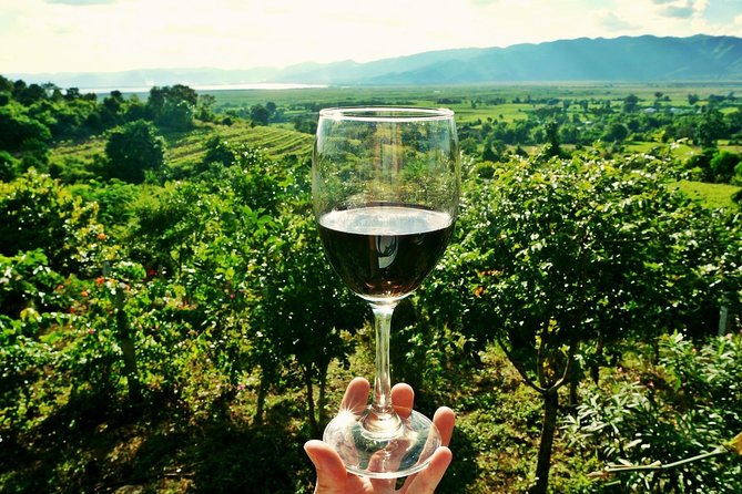 Castle & Wine Tasting - Private Day Trip from Zagreb - The Sum Up