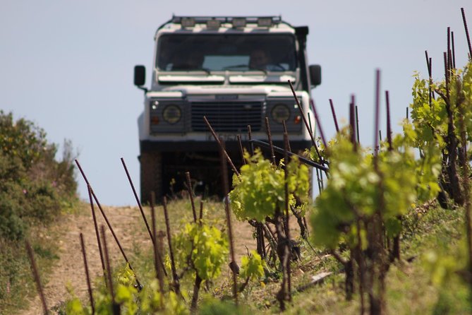 Chania Shore Excursion Off Road Vineyard and Winery Tour Half Day - Final Thoughts