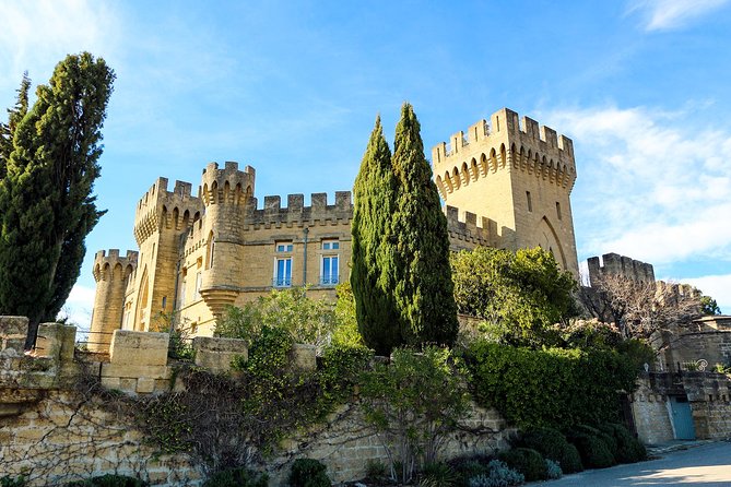 Châteauneuf Du Pape intensive vineyard & fine wine experience - FAQ