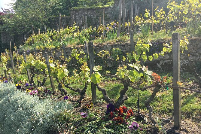Clos Montmartre 'Paris in your Glass' Wine Tasting - Final Thoughts