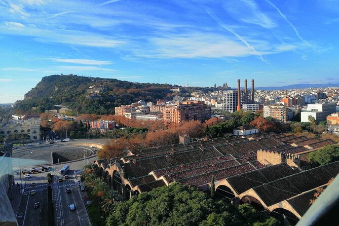 Columbus Monument Access With Barcelona Seaside Guided Tour - Who Will Love This Tour?