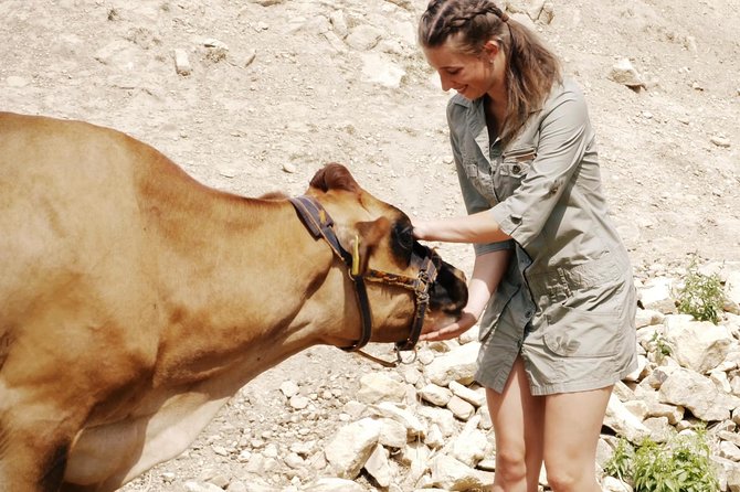 Czech Countryside Villages Tour from Prague with Animal Farm - What the Reviews Say: Authenticity and Personal Touch