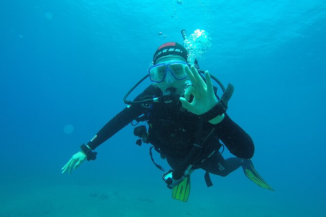 Discover Scuba Diving, Tenerife. Photos and videos included - Who Should Book This?