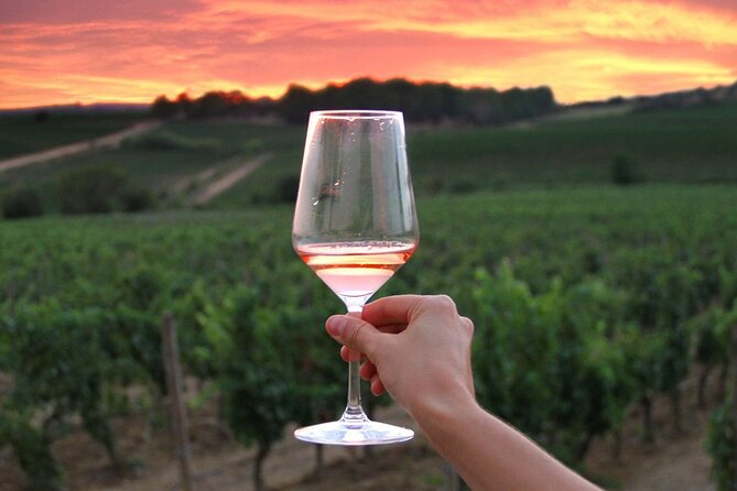 Discover the wine producers of Emilia Romagna - The Sum Up