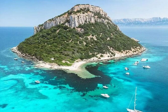 Dolphin Watching Tour with Snorkeling from Olbia - The Sum Up