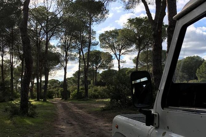 Donana National Park and El Rocío: Guided Tour from Seville - FAQs