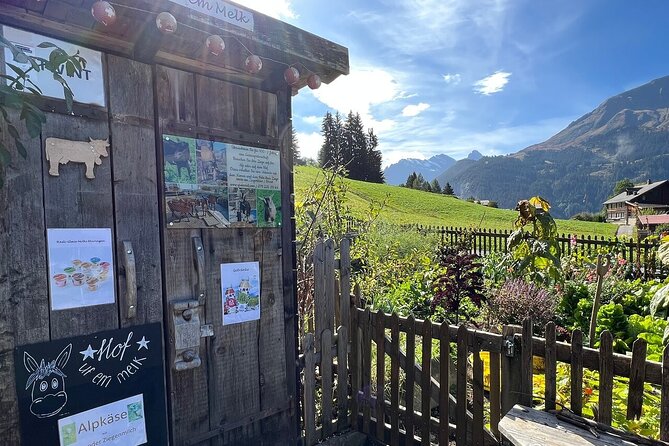Easy countryside tour in Swiss Alps - kids friendly - Final Thoughts