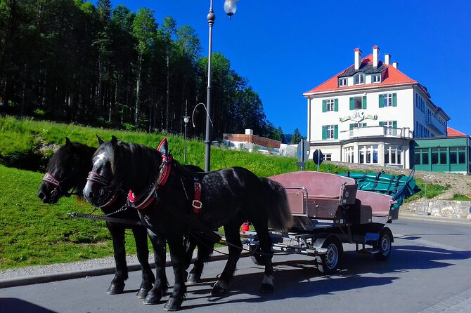 EXCLUSIVE 3 Royal Castle SKIP-THE LINE Tour of Neuschwanstein + Linderhof + Hohenschwangau from Munich - FAQ