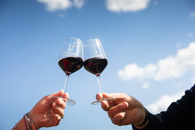 Exclusive Lunch Tour and Wine tasting at a Chianti Classic Winery - Practical Details — Making It Work