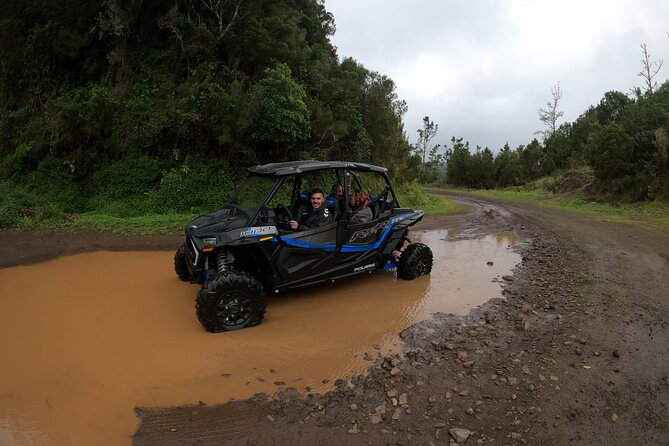Exclusive Private Buggy Adventure: Forest and Mountains - The Sum Up