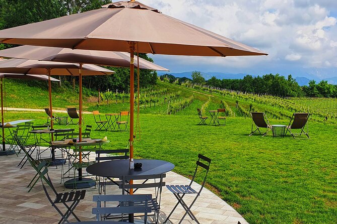 Exclusive Tour of the Vineyards with Visit to the Cellar! - Practicalities and Logistics
