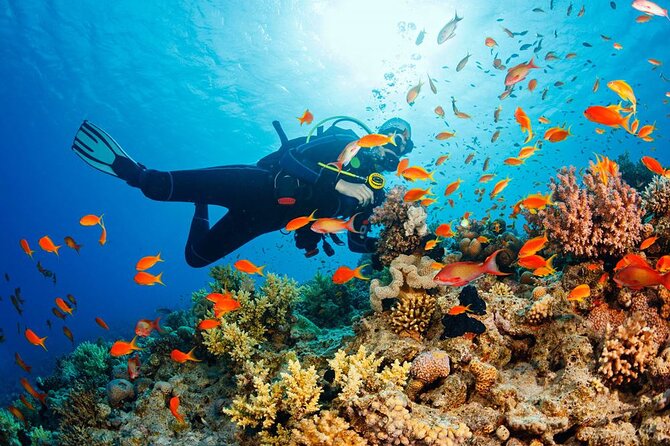 Fethiye Scuba Diving Experience By A Local Expert - The Sum Up