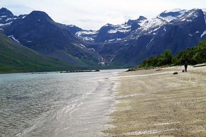 Fjord Sightseeing - Eco friendly Tesla Model X - Final Thoughts