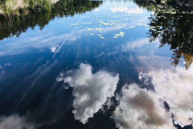 Forestbathing Slow Walking and Healing Spring Water, Stockholm - Frequently Asked Questions