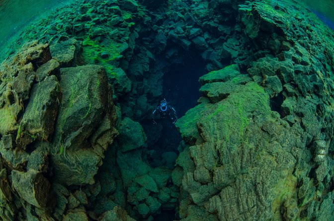 Freedive Silfra Half Day Tour - Practical Tips for Participants
