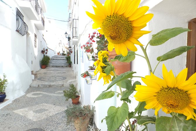 Frigiliana Small-Group Hike and Wine Tasting Tour from Malaga - The Sum Up: Is This Tour Worth It?