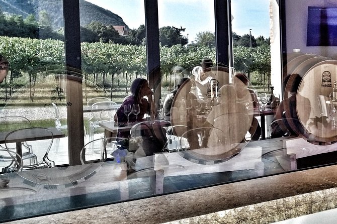 From Abano Montegrotto, Wine Tour in the Euganean Hills - Final Thoughts: Is This Tour Worth It?