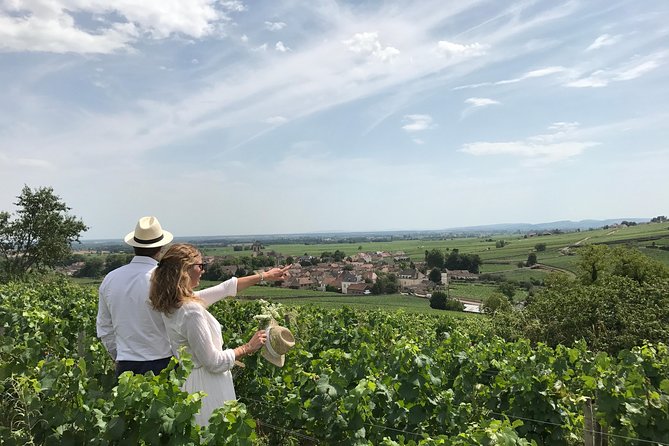 Full day from Dijon: the most of Burgundy with lunch - The Sum Up