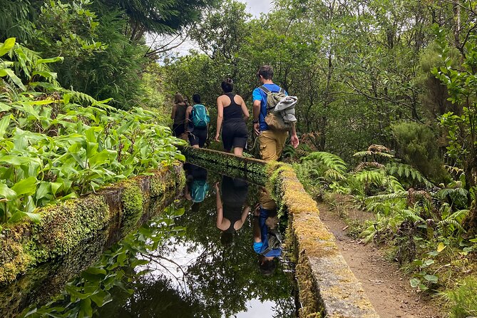 Full Day Hiking Trail in Lagoa do Fogo Sao Miguel - The Sum Up