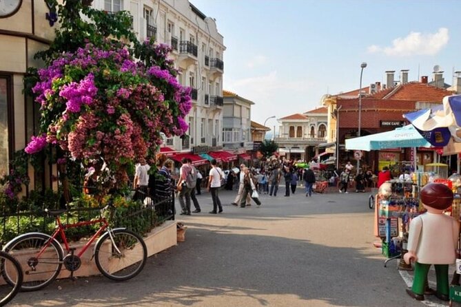 Full Day Istanbul Princes Islands Tour with Lunch - Considerations and Limitations