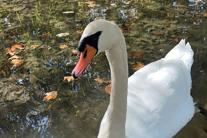 Full day Krka national park tour - Frequently Asked Questions (FAQs)