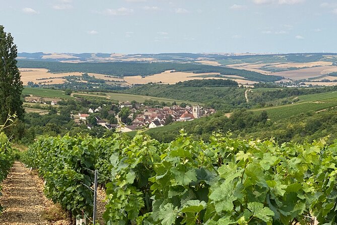 Full-Day North Burgundy and Chablis Wine Tasting Tour from Paris - Frequently Asked Questions