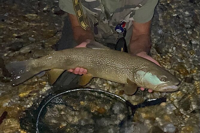 Full Day Private Guided Fishing Charter along the Isonzo Front - Final Thoughts