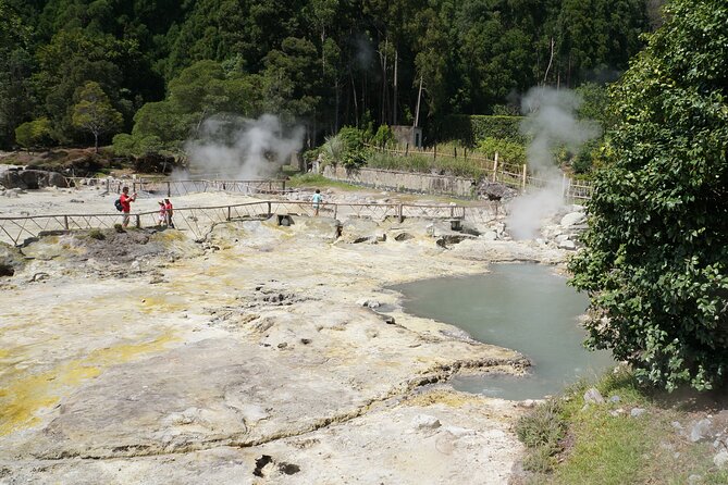 Full-Day Private São Miguel Tour with Furnas and Hot springs - Relaxing in Terra Nostra Park