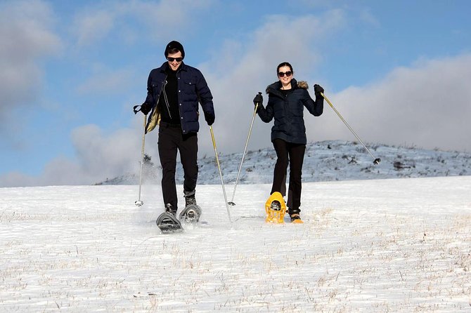 Full-Day Snowshoeing in High Tatras with Local Mountain Guide from Poprad - Practical Tips