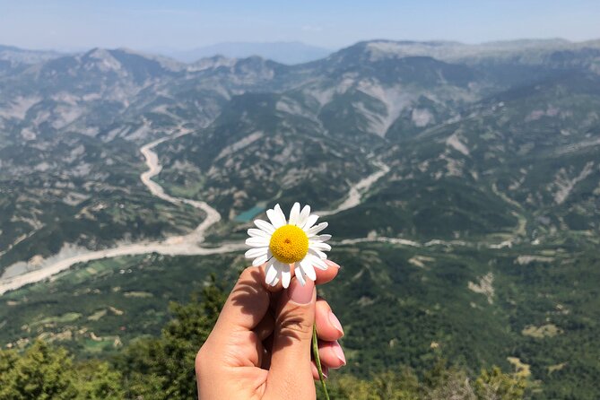 Full Day Tirana City & Dajti National Park, Private Tour - The Sum Up