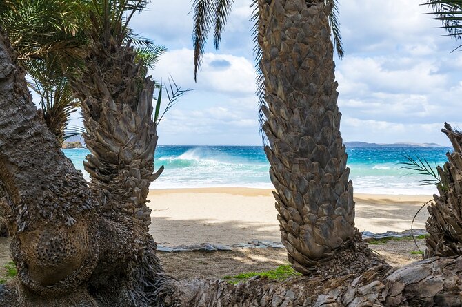 Full-Day Tour to Vai Palm Beach, Toplou Monastery, and Sitia Town - FAQ