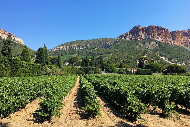 Full-day Wine Tour around Bandol & Cassis from Marseille - Who Should Consider This Tour?