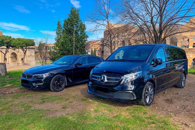 Geneva Airport (GVA) to Geneva - Arrival Private Transfer - Who Should Book This Transfer?