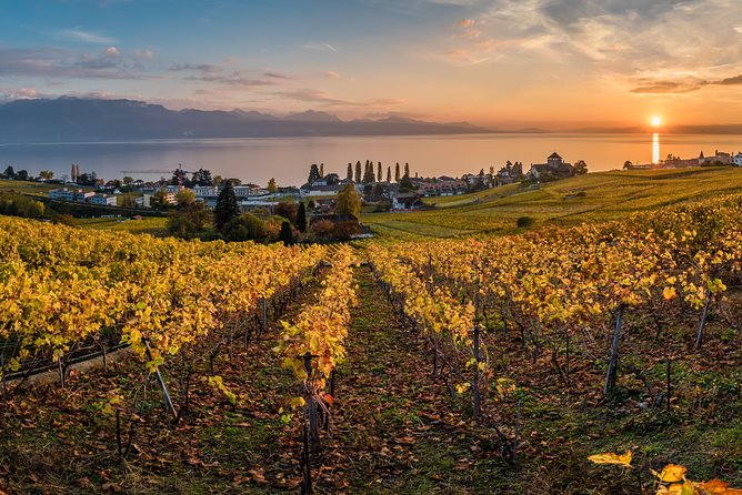 Geneva to Lausanne, Montreux and Château Chillon Private Tour - FAQ