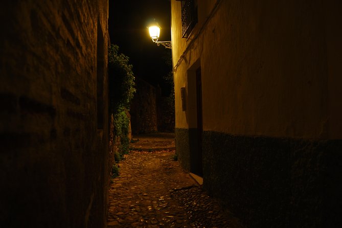 Granada: Ciudad oscura. - Final Thoughts: Who Should Book This Tour?