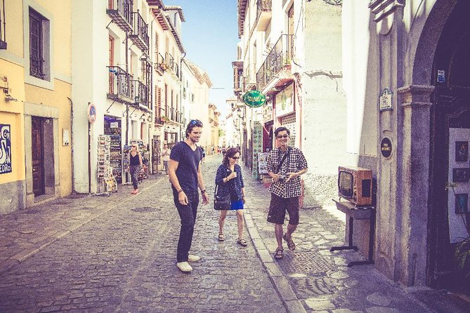 Granada Private Tapas & Walking Tour - The Sum Up