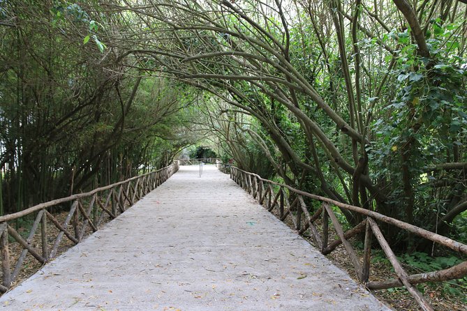 Group guided tour of the archaeological park of Neapolis - FAQ